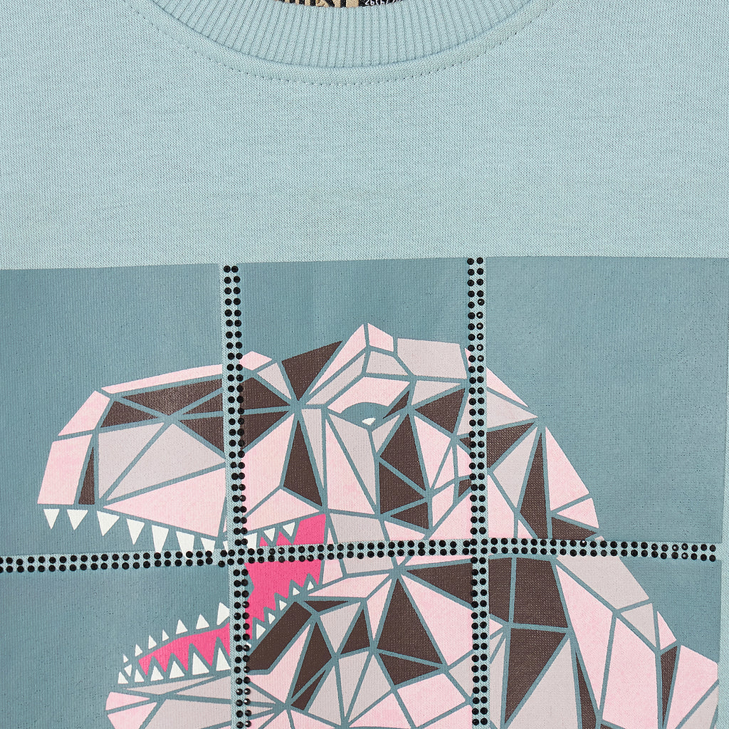 Duke Urban Boys Full Sleeve Round Neck Sweatshirt (LF364)